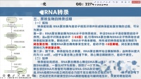 第十四章 RNA转录