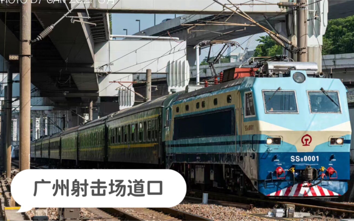 广东广州,实拍Z236次列车通过射击场道口,广州东开往哈尔滨西