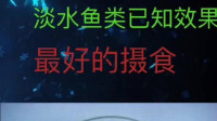 DMPT是什么? DMPT详解, DMPT小药钓鱼, 对于鱼类一些知识