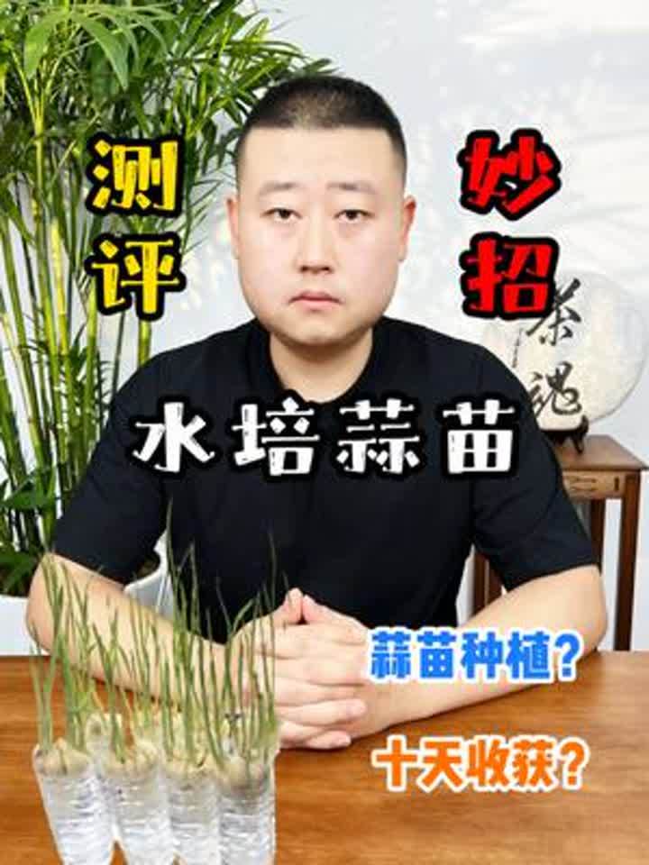 #测评 #生活小妙招 #种蒜苗 不需要土,不需要施肥就能种出好吃的蒜苗...
