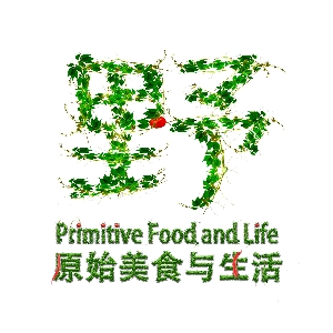原始美食与生活 
