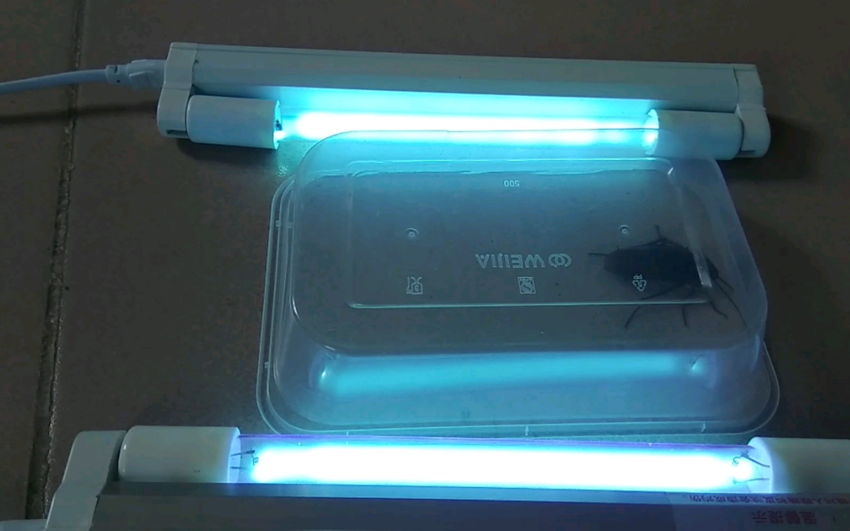 臭氧紫外线消毒灯 VS 蟑螂