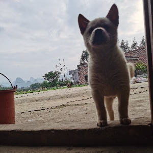 bili_24070314550 