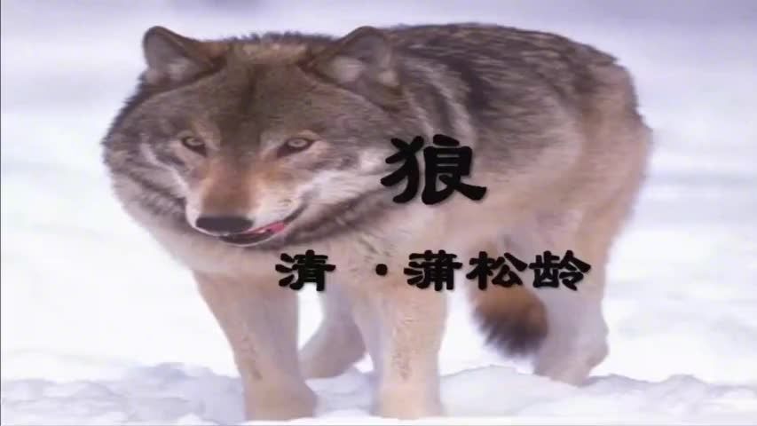 中考7年级上册课内文言文复习:《狼》