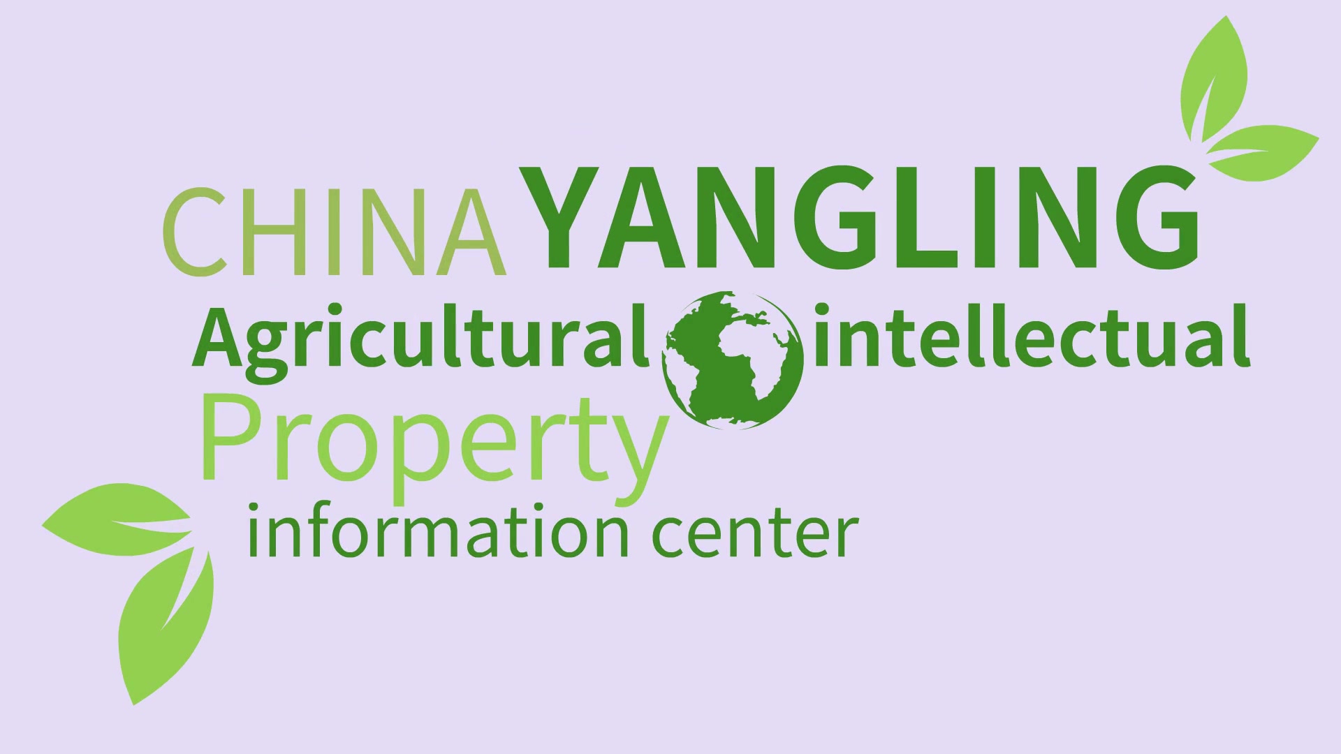 【多媒体课件如何制作】一分钟帮你搞懂什么是知识产权