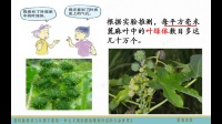 科教版科学六年级上第一单元第六课