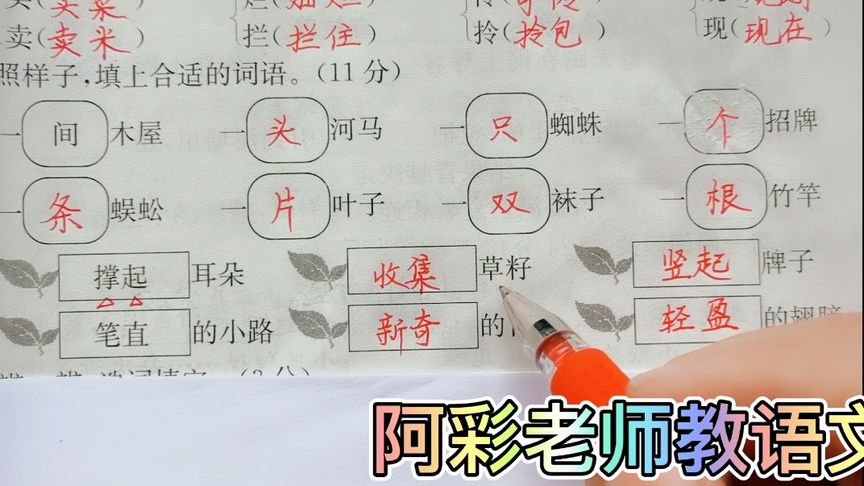 小学语文二年级词语填空训练,量词怎么填,修饰的词怎么填