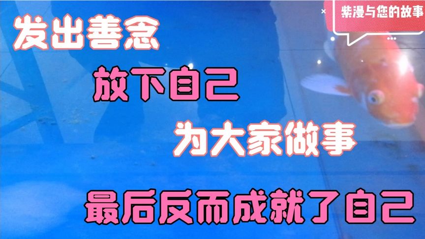 我们发出什么信息,世界向我们回馈什么,我们与世界成为一个总体