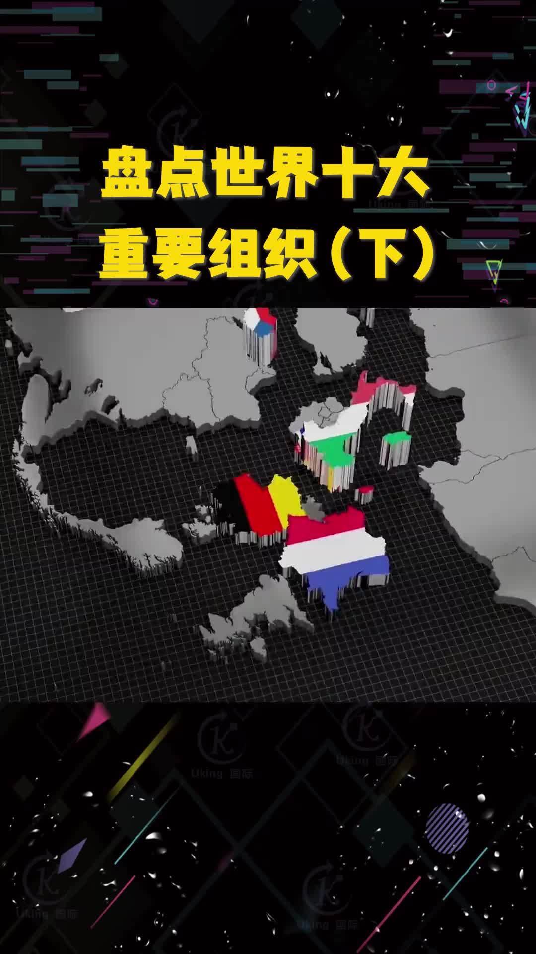 盘点世界十大重要组织下