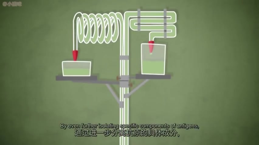 TED科普动画:疫苗的运作原理是什么,为什么我们需要疫苗?