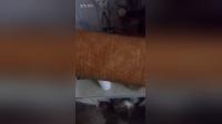 美的净水机前置滤芯最佳更换时间VID_20161109_171138