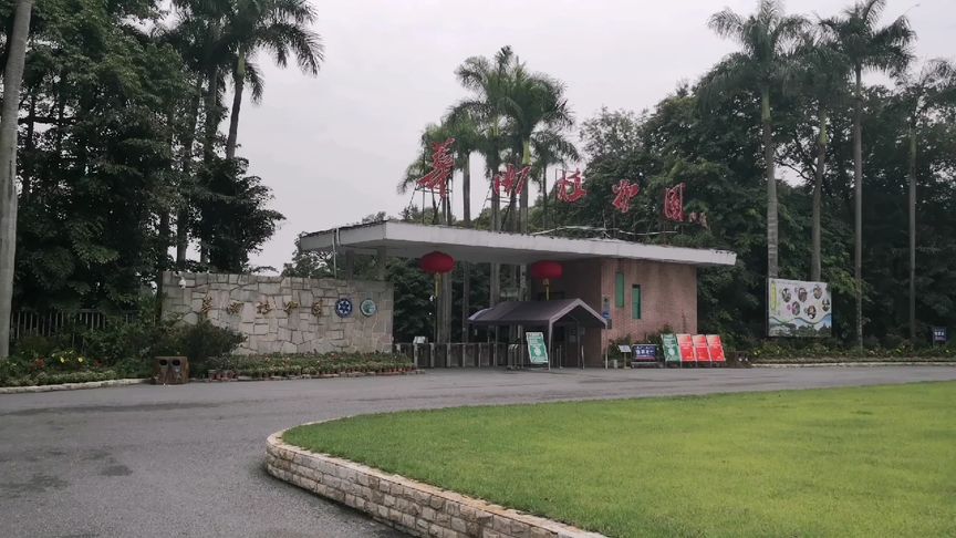 请随河南大叔的镜头,到广州中科院华南植物园!欣赏神奇生态景观