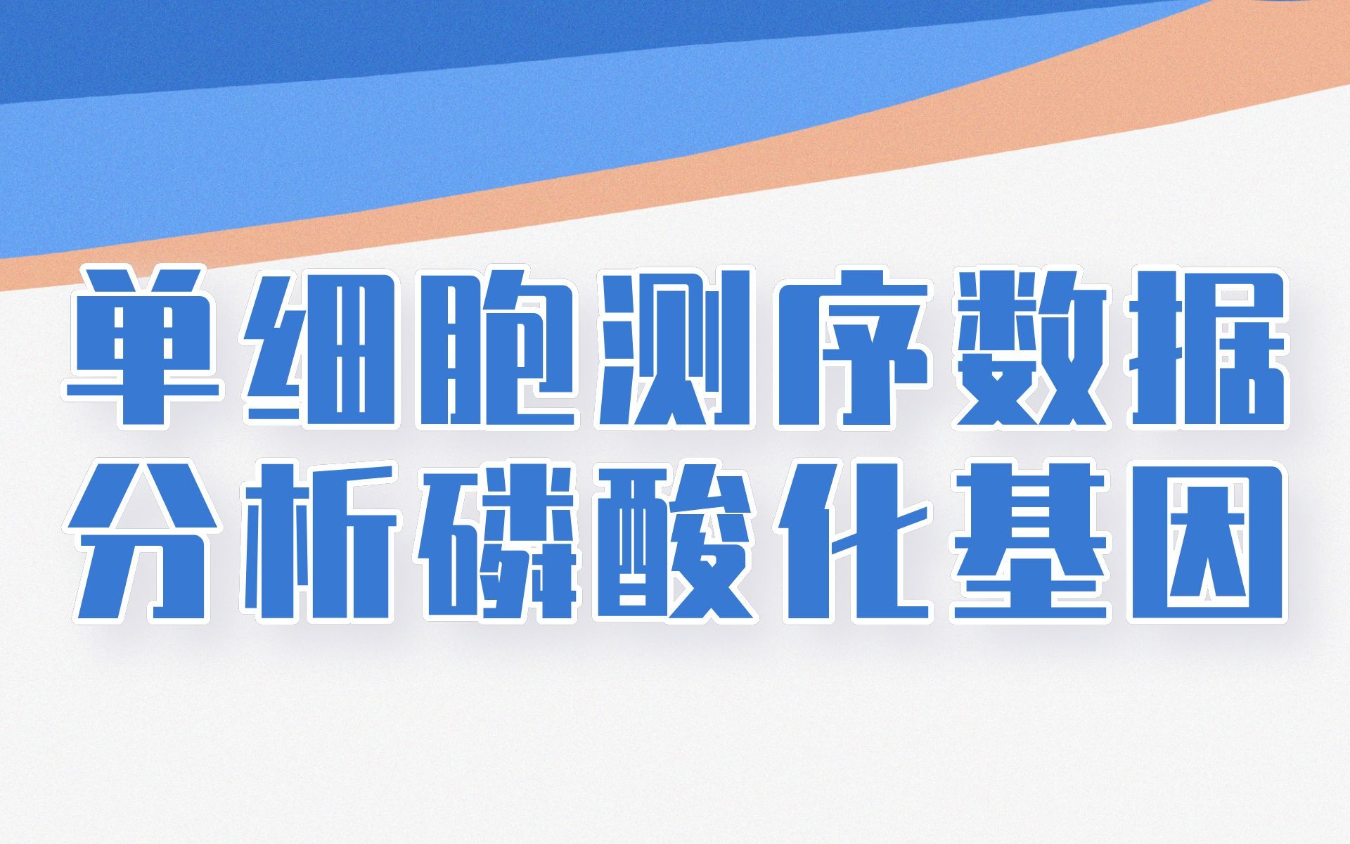 一篇生信文章启发多多!结合单细胞测序数据分析磷酸化相关基因,文章+...