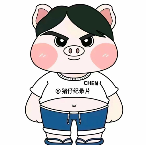 猪仔纪录片吖 