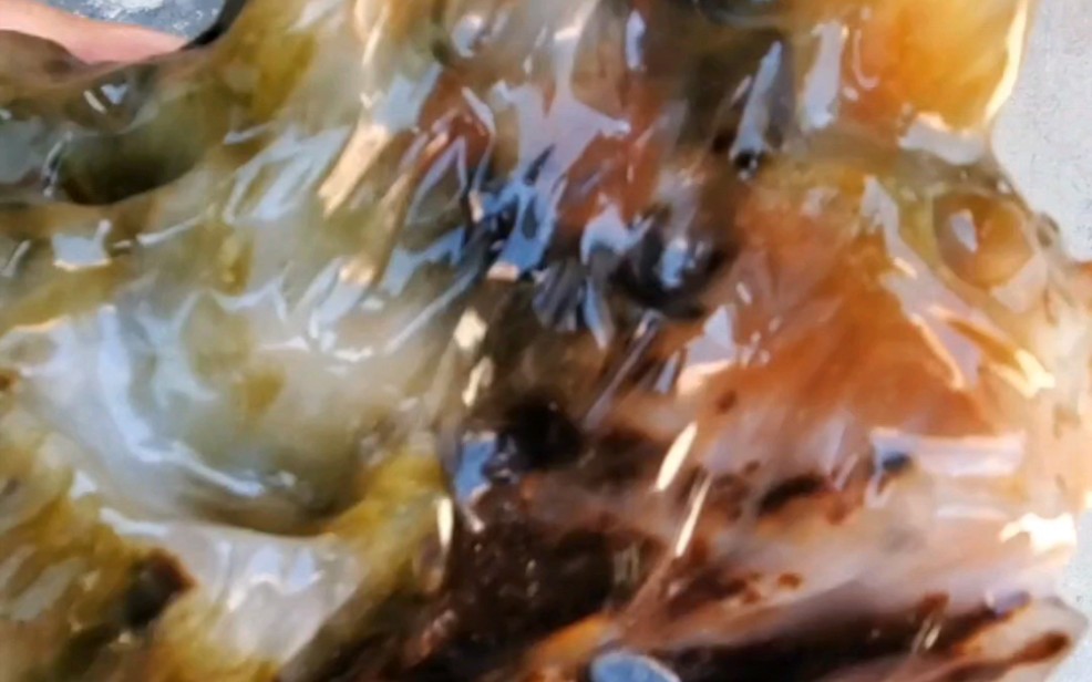 树化玉越来越多得到更多收藏爱好者的青睐和追捧,主要因为树化玉是...