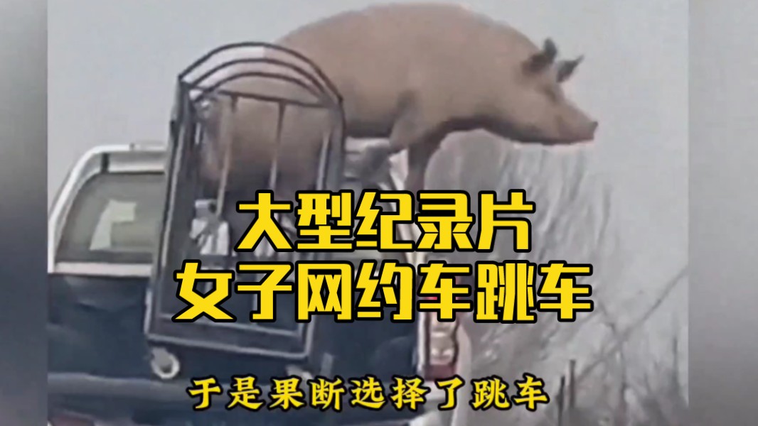 大型纪录片《女子网约车跳车》 持续为您播出