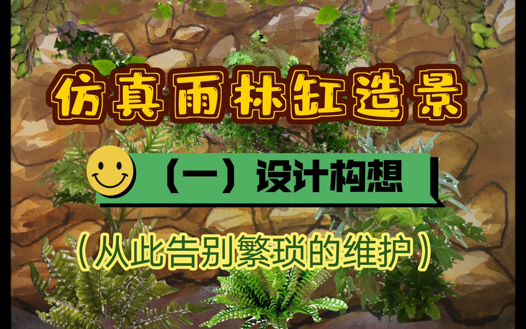 爬宠造景:仿真雨林缸造景(一)设计构想,缸体45*45*60㎝,从此告别繁琐...