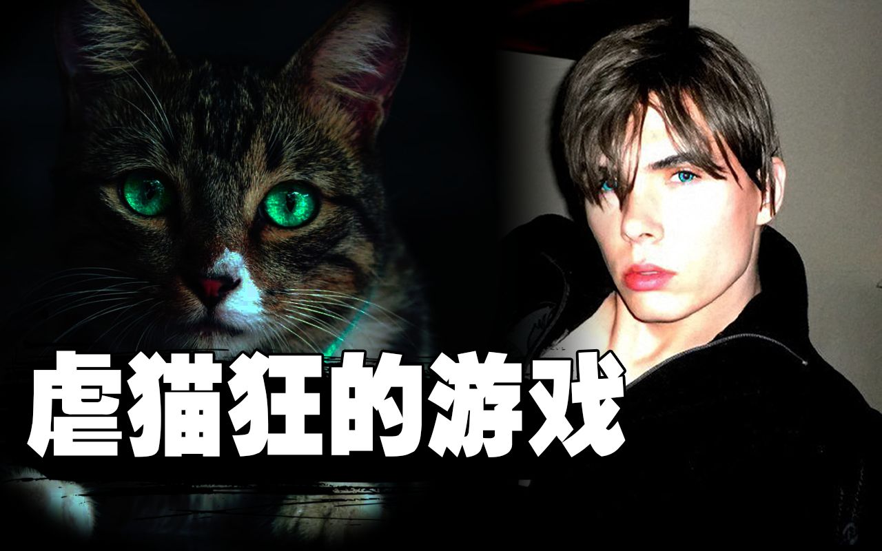 全民搜索虐猫狂,中国留学生却惨遭不幸,他的动机究竟是什么?