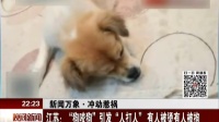 晚间新闻报道20161013新闻万象·冲动惹祸 江苏“狗咬狗”引发“人...