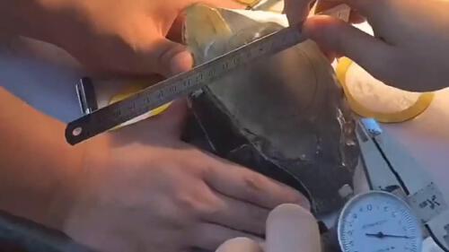 难得一见的极品冰种翡翠玉石,制作成手镯,太美了!