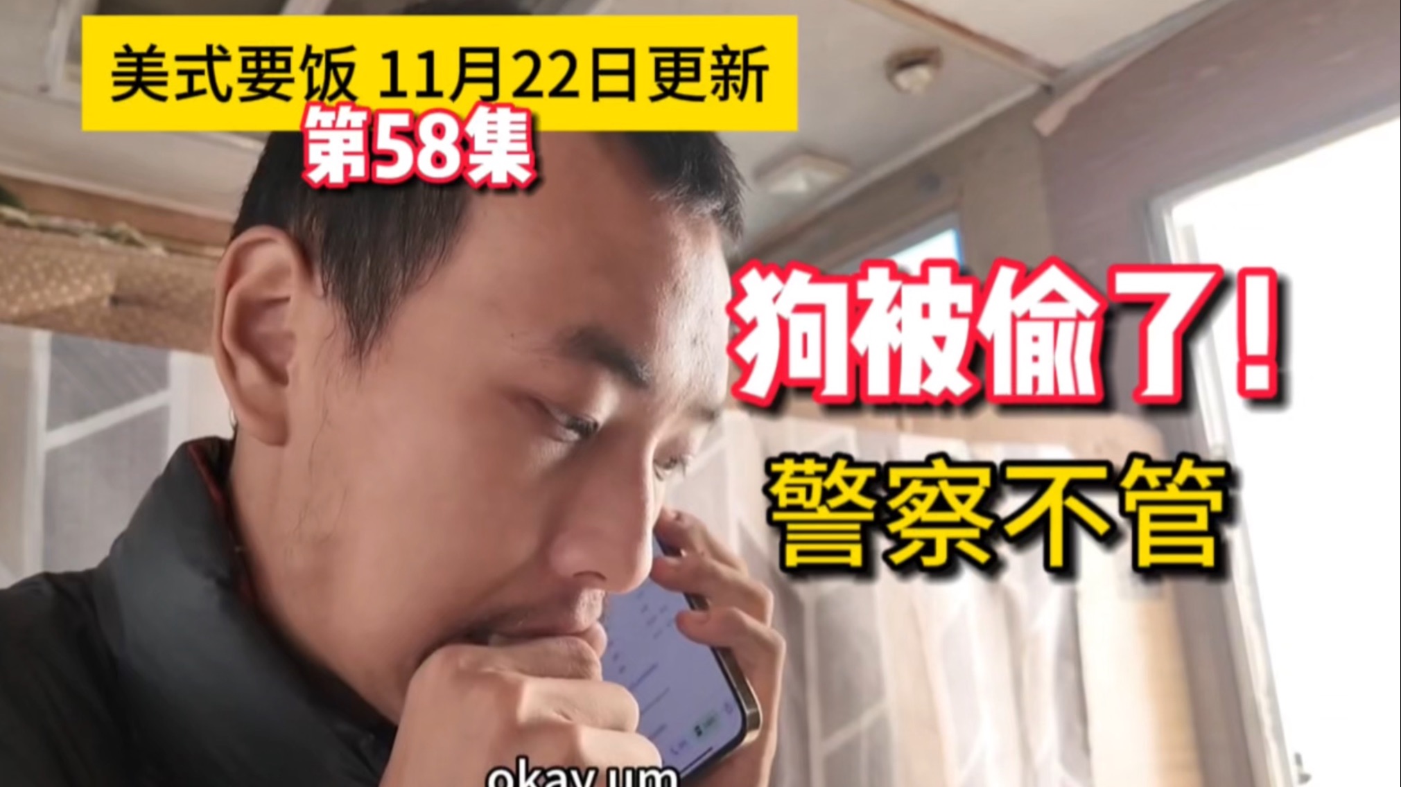 兄弟们我的狗丢了!报警没用!小偷很猖獗!