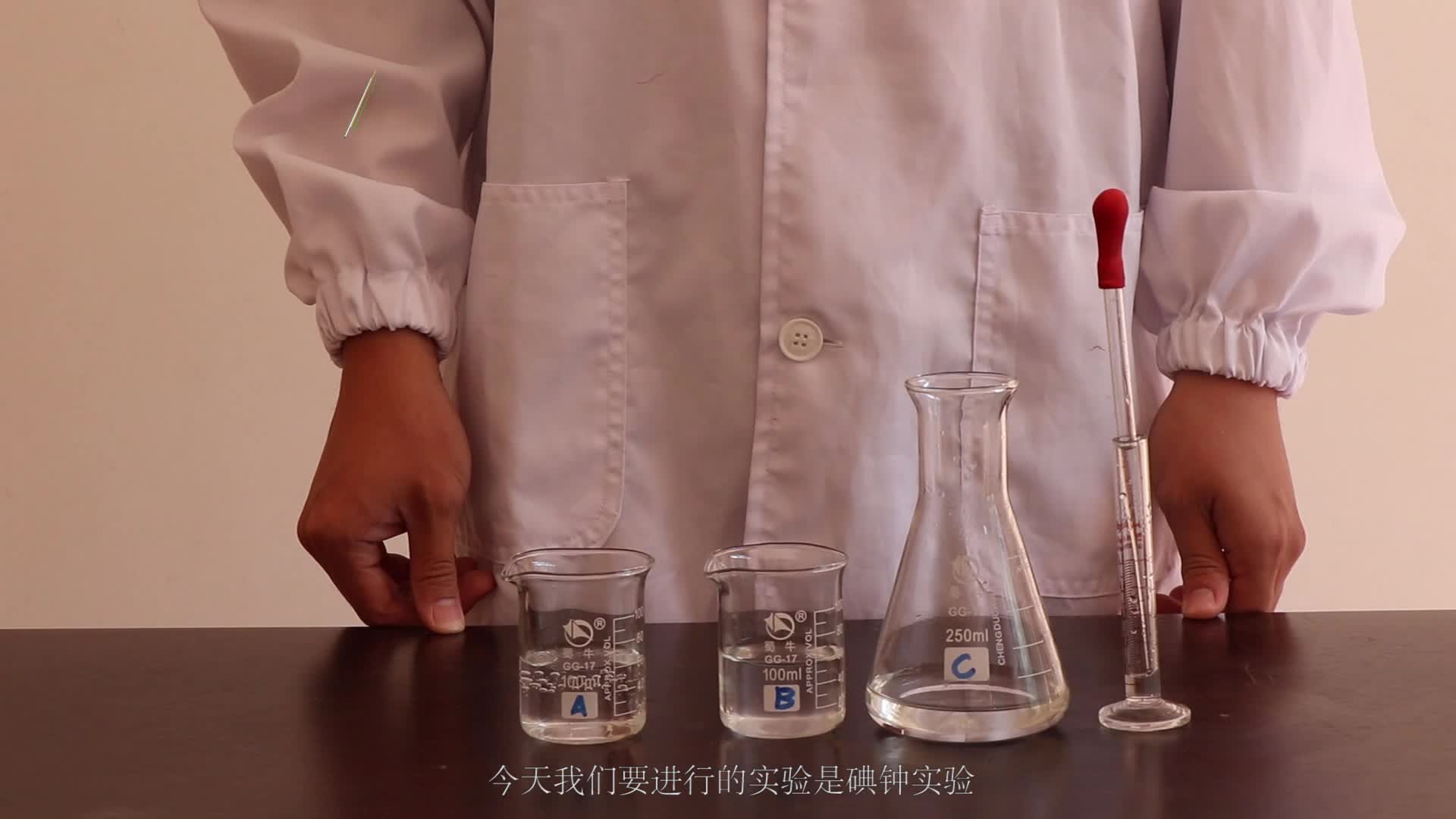 碘及碘元素物质的制备和探究视频