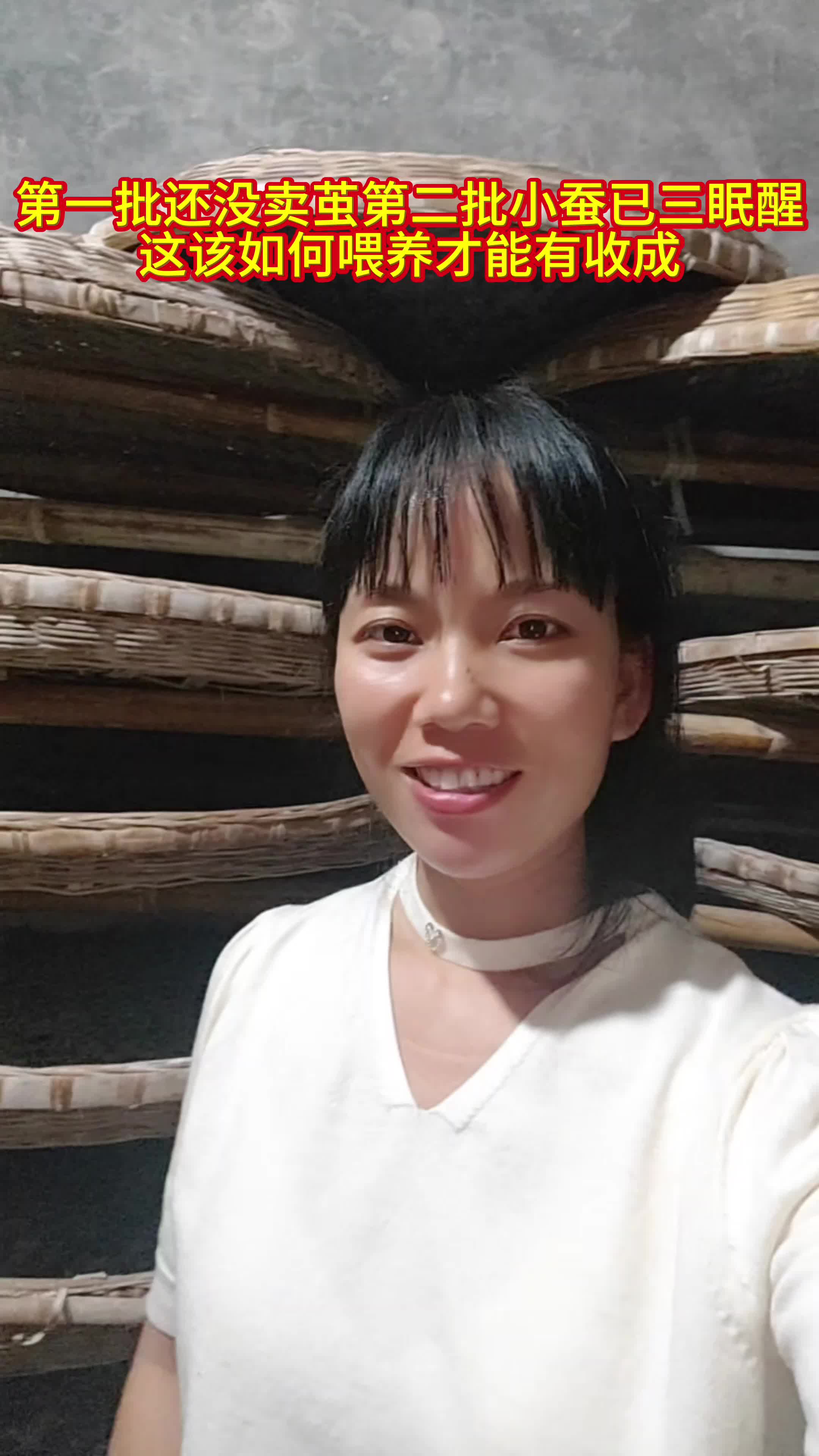 面对如何局限的条件,又该如何养好蚕?#种桑养蚕#三农