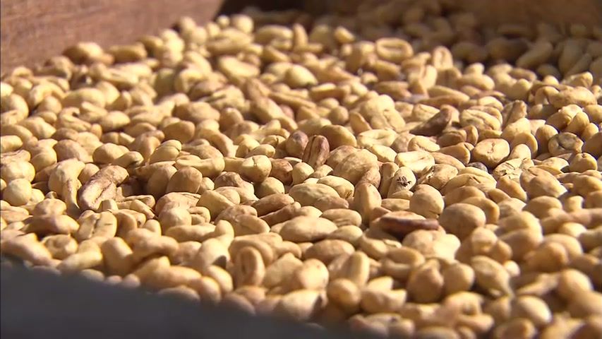 食在好源头:这咖啡豆的制作过程好麻烦,纯粹就是贵在工时上了