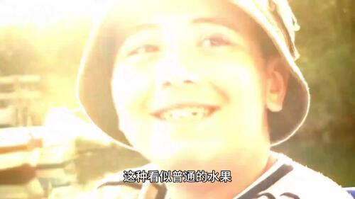 冻梨:东北寒冬里的甜蜜记忆