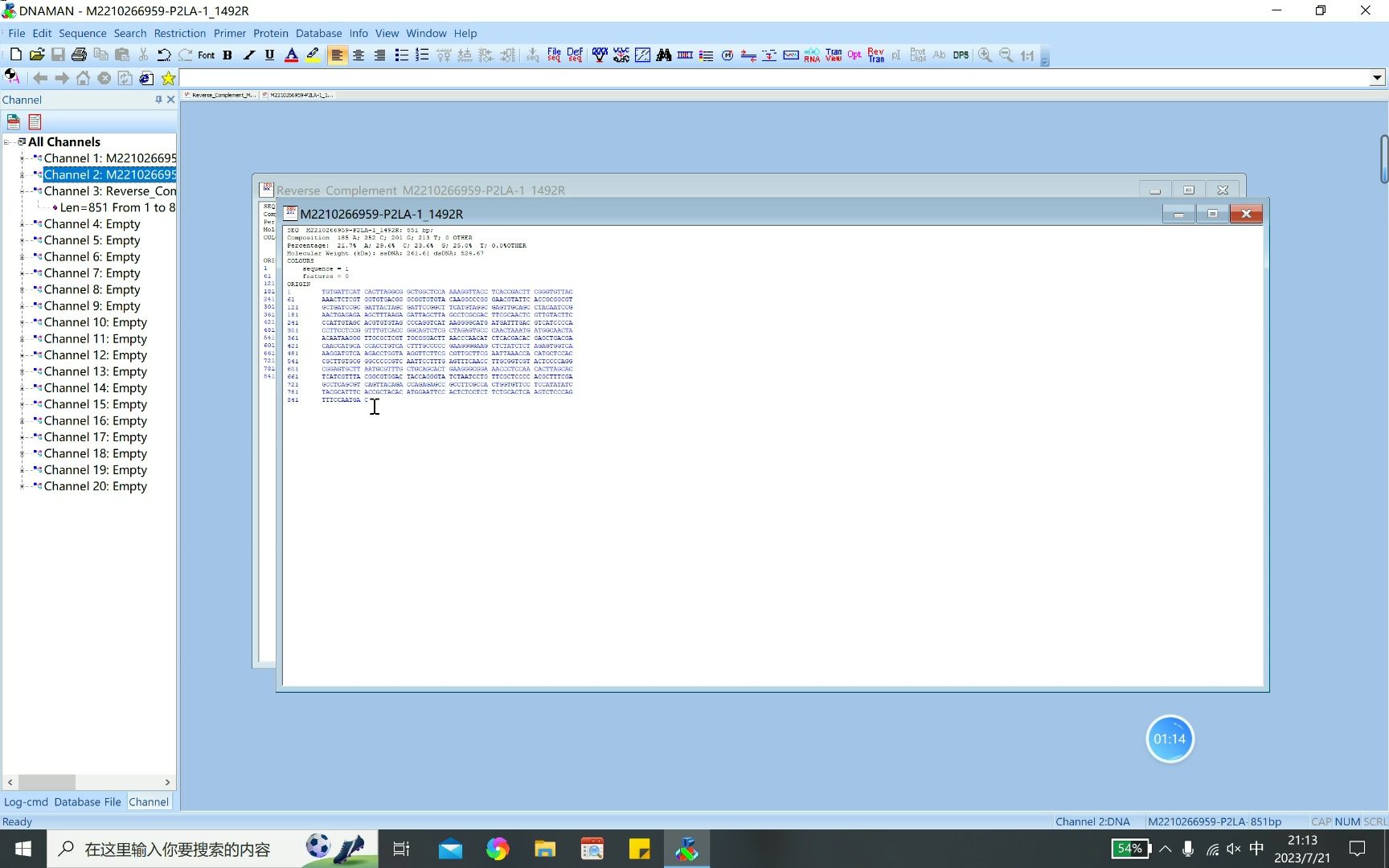 使用DNAMAN软件拼接一代测序序列