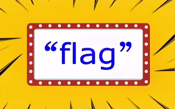 “flag”是什么意思?