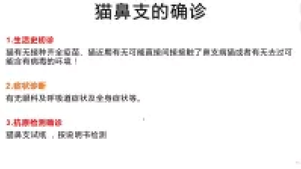 猫鼻支确诊与治疗科普