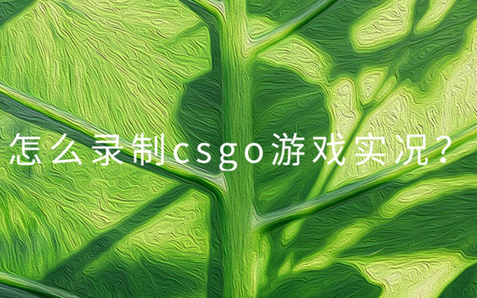 怎么录制csgo游戏实况?游戏录制的高清方法