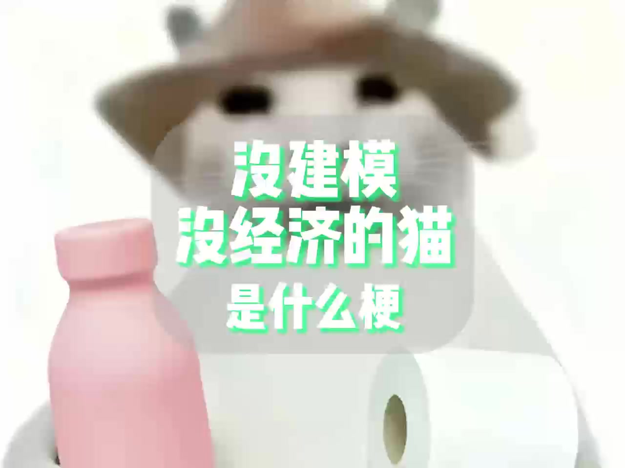 没建模没经济的猫是什么梗?#表情包 #猫meme #梗 #抽象