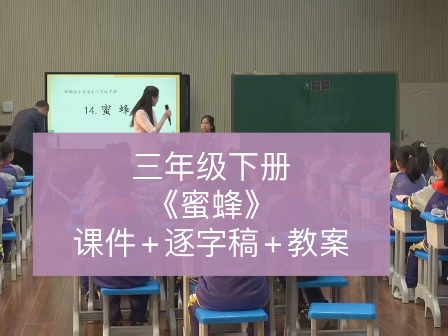 三年级下册小学语文公开课《蜜蜂》(课件+逐字稿+教案)临沂,课堂实录...