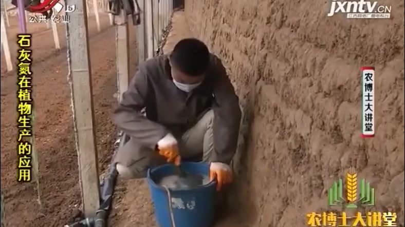 石灰氮的应用4:液体石灰氮可滴灌或喷灌使用,使用时要戴口罩