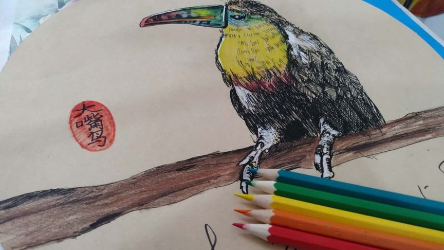 沐沐线描一只大嘴鸟,画完怎么感觉这鸟没睡醒呢!