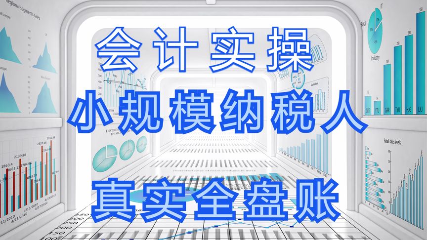 会计实操-小规模纳税人全盘账-商业企业-业务13