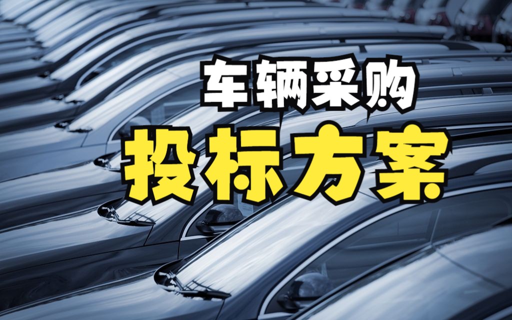 车辆采购投标方案