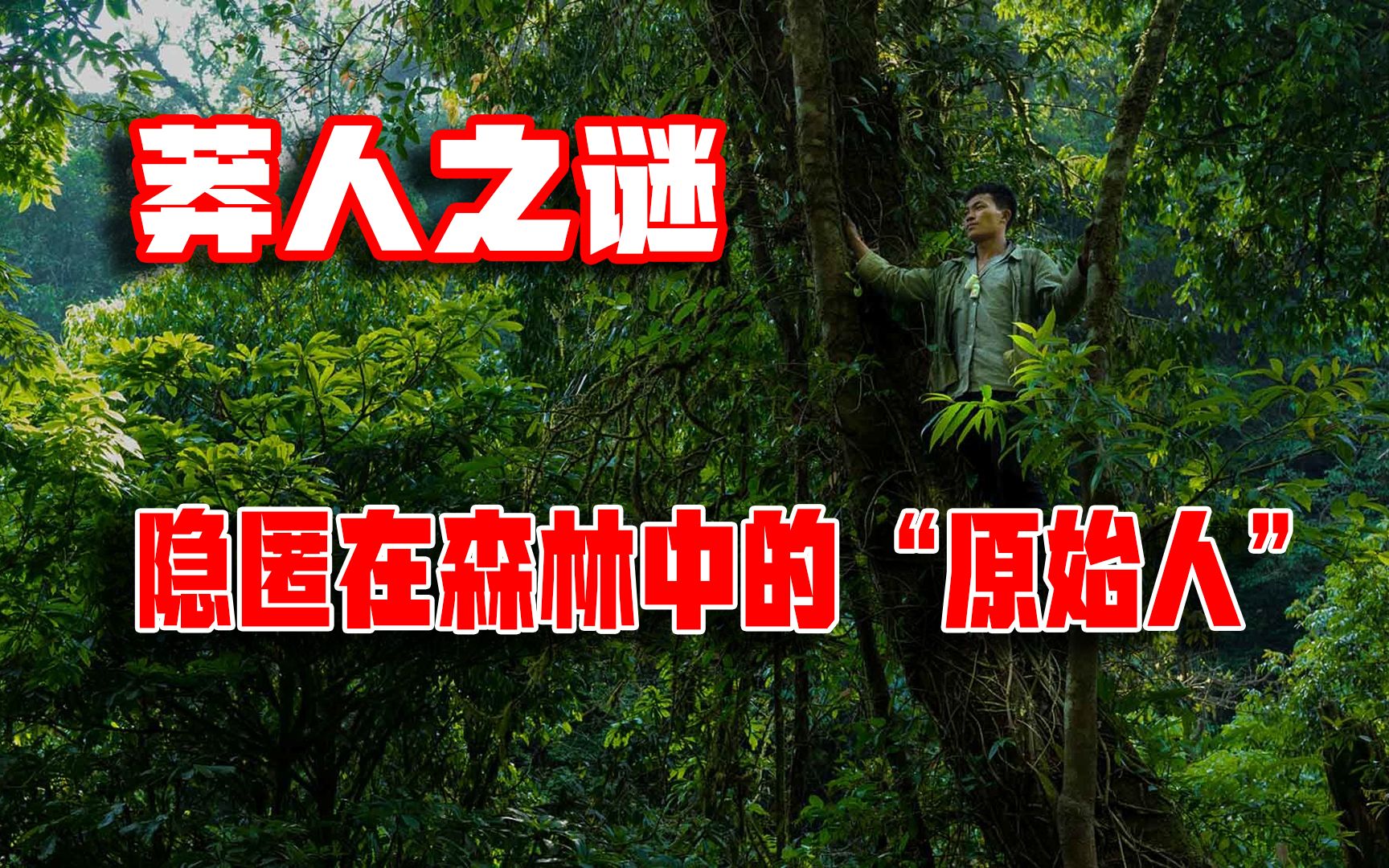 莽人之谜:隐匿在原始森林中的“原始人”,我国未被认证的民族