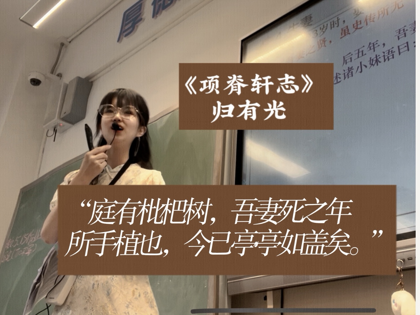 “你的离去是一颗种子,而我的思念是一棵树”|归有光《项脊轩志》...