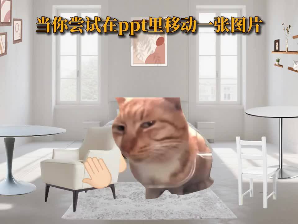 当你尝试在ppt里移动图片