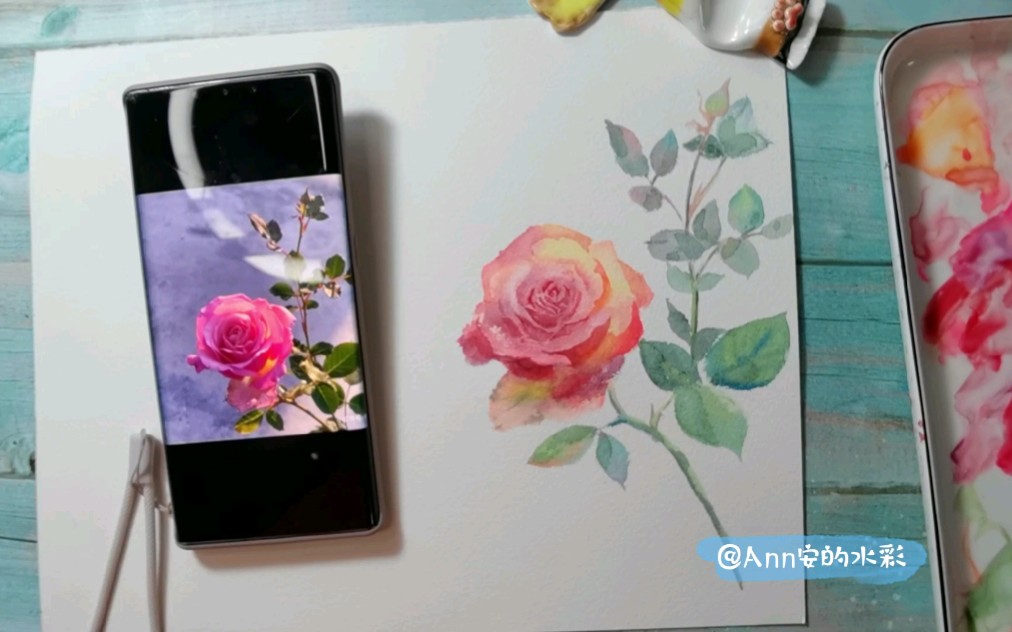 水彩玫瑰花写生