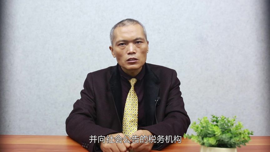 税务行政处罚权行使主体有哪些