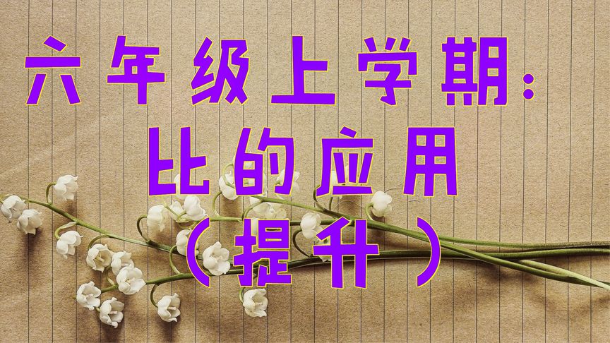 六年级上:比的应用(提升)