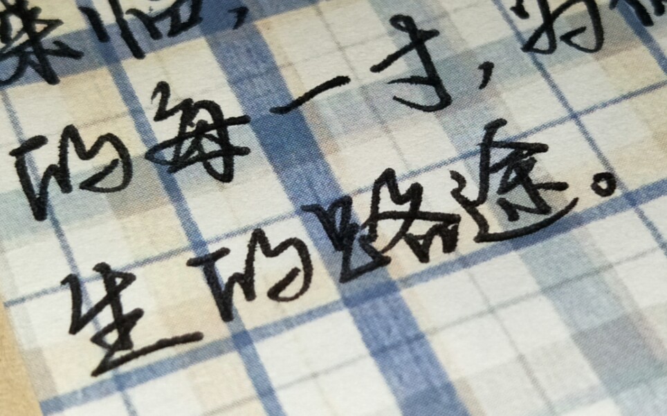 陆沉婚礼誓词节选|摘抄|手写