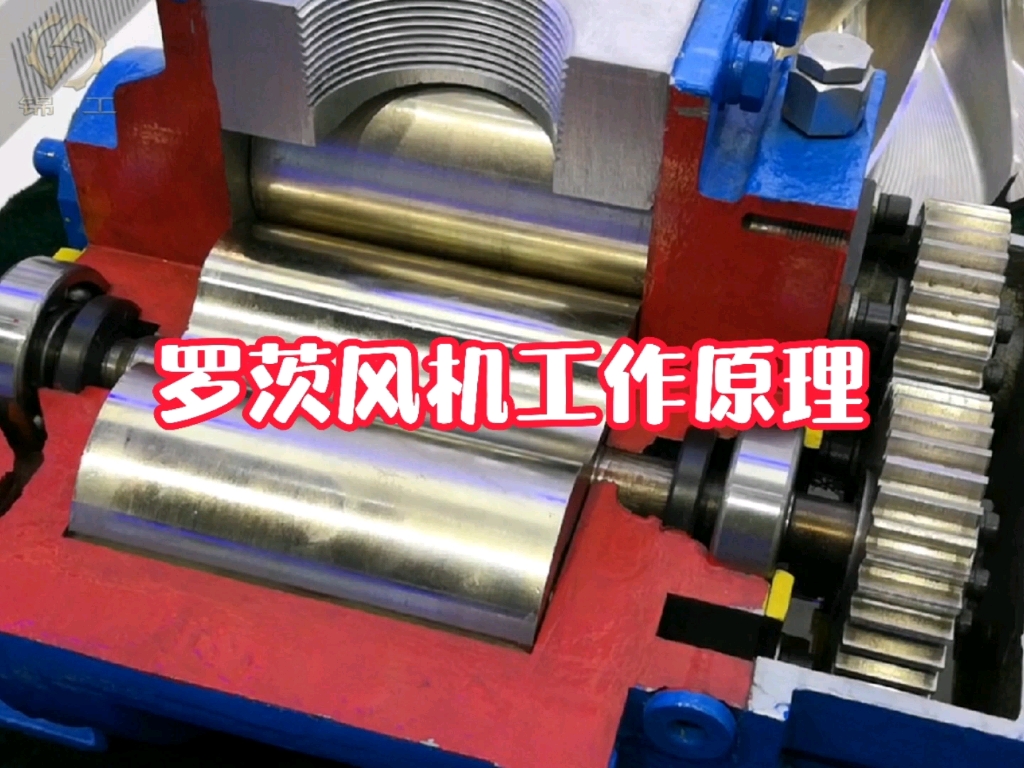 一个视频全面了解罗茨风机,罗茨鼓风机工作原理