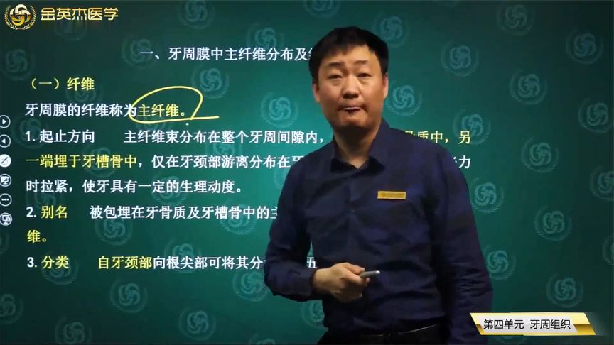 口腔组织病理04牙周组织02牙周膜01位置,主纤维分布及细胞种类