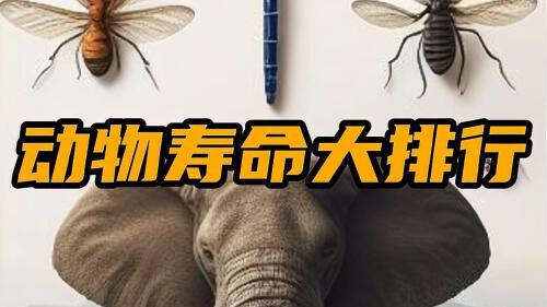 地球动物寿命排名,生命周而复始,献给每一位存在的生灵
