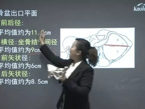 妇产科护理学 第一讲(2) 女性生殖系统解剖与生理